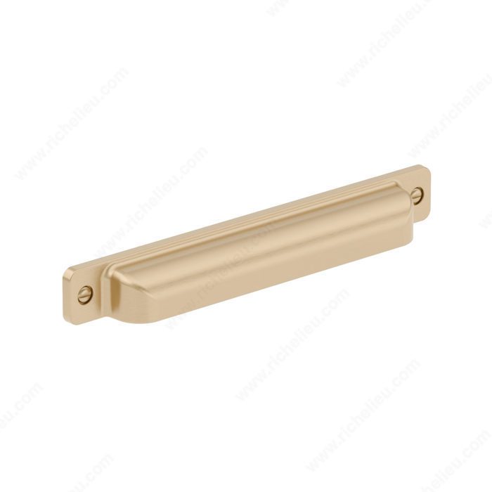 Richelieu Contemporary Metal Pull - 8716 - Ohio Home Products